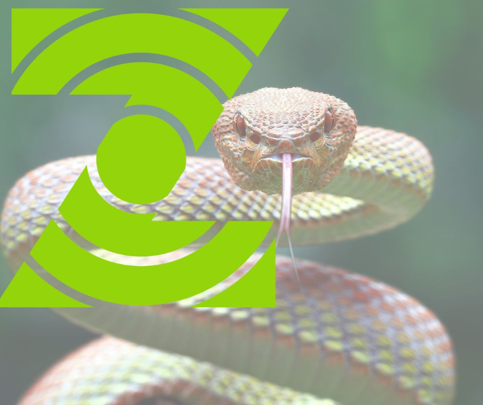 Hiss Off! Slithery Facts and Protection from Snakes – Zone Protects