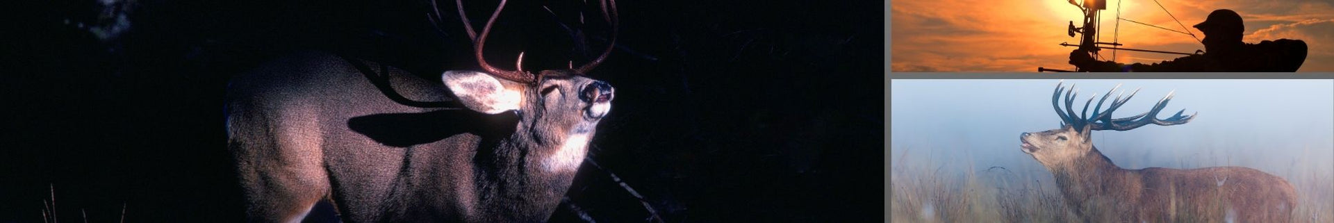 Invisible Hunter Scent Control Products – Zone Protects